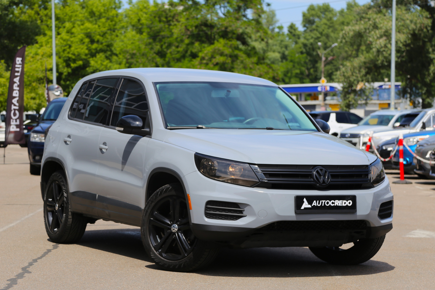 Buy a car Volkswagen Tiguan 2014 year - AutoCredo